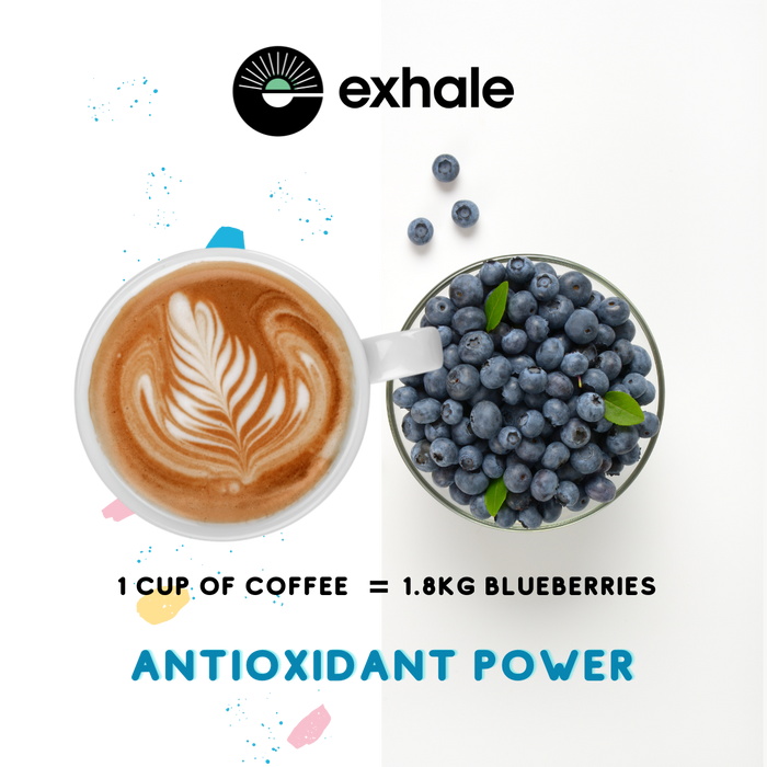 Organic House Roast Coffee | Exhale Healthy Coffee