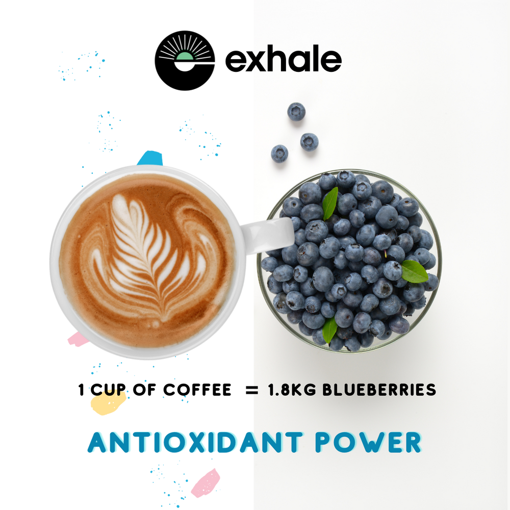 Organic Dark(ish) Roast Coffee | Exhale Healthy Coffee